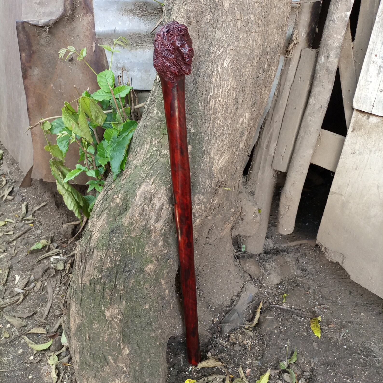 Original Lion Head Walking Stick Cat Head Art Cane Mom Dad | Etsy