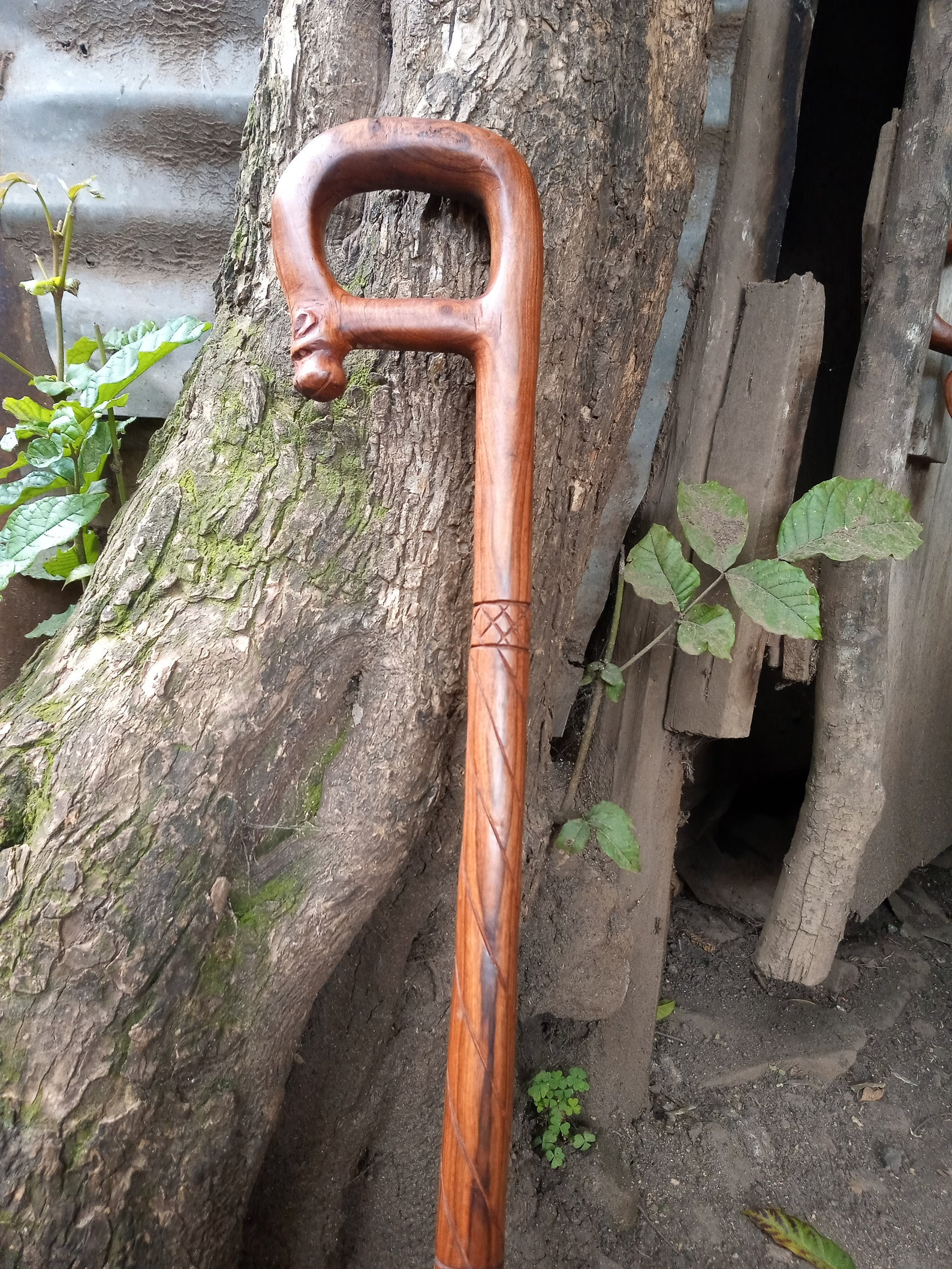 Walking Stick Cane Original 1930's Style African Lion Handmade Kenya ...