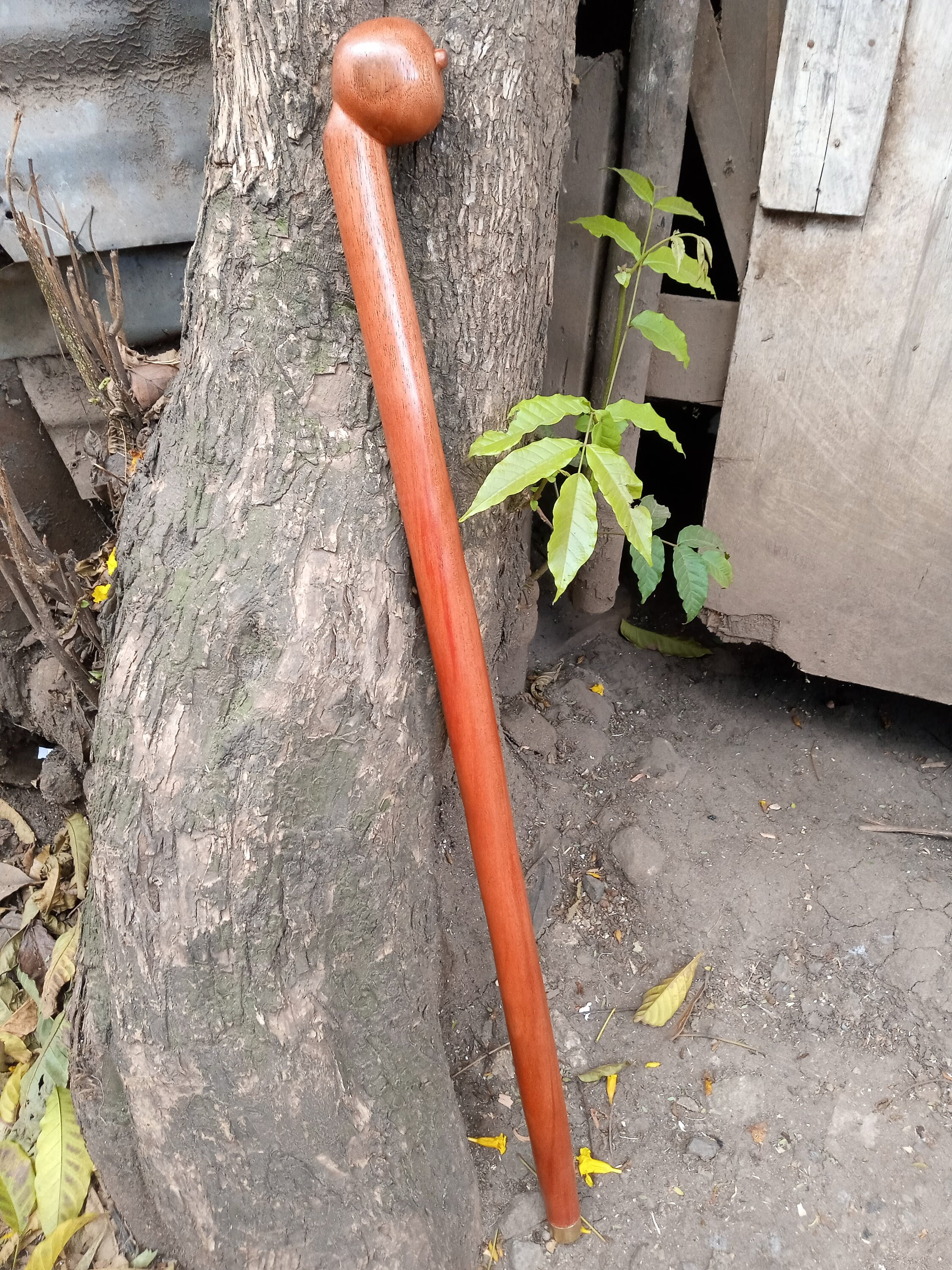 Ambidextrous Original African Cane Unique Gift Walking Stick Handmade ...
