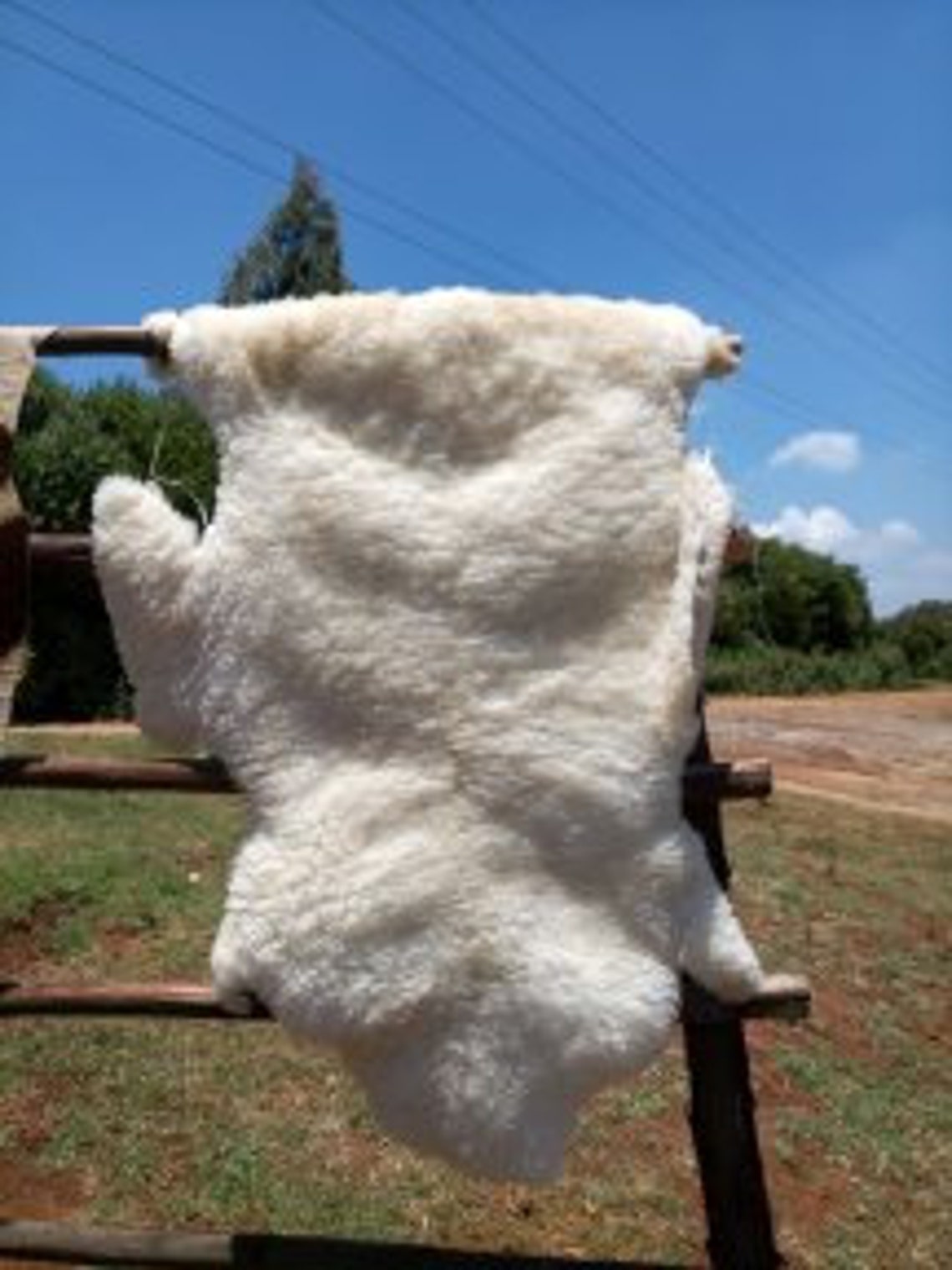 Natural Merino Sheep Skin Lamb Wool Rug Throw 1Piece Cleaned | Etsy