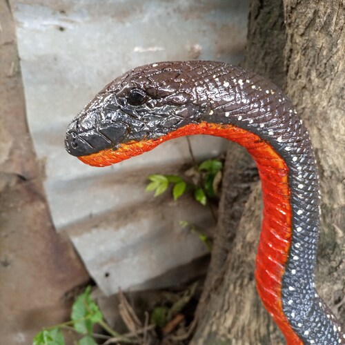 African Python Original Hiking Walking Stick Cane Handmade - Etsy