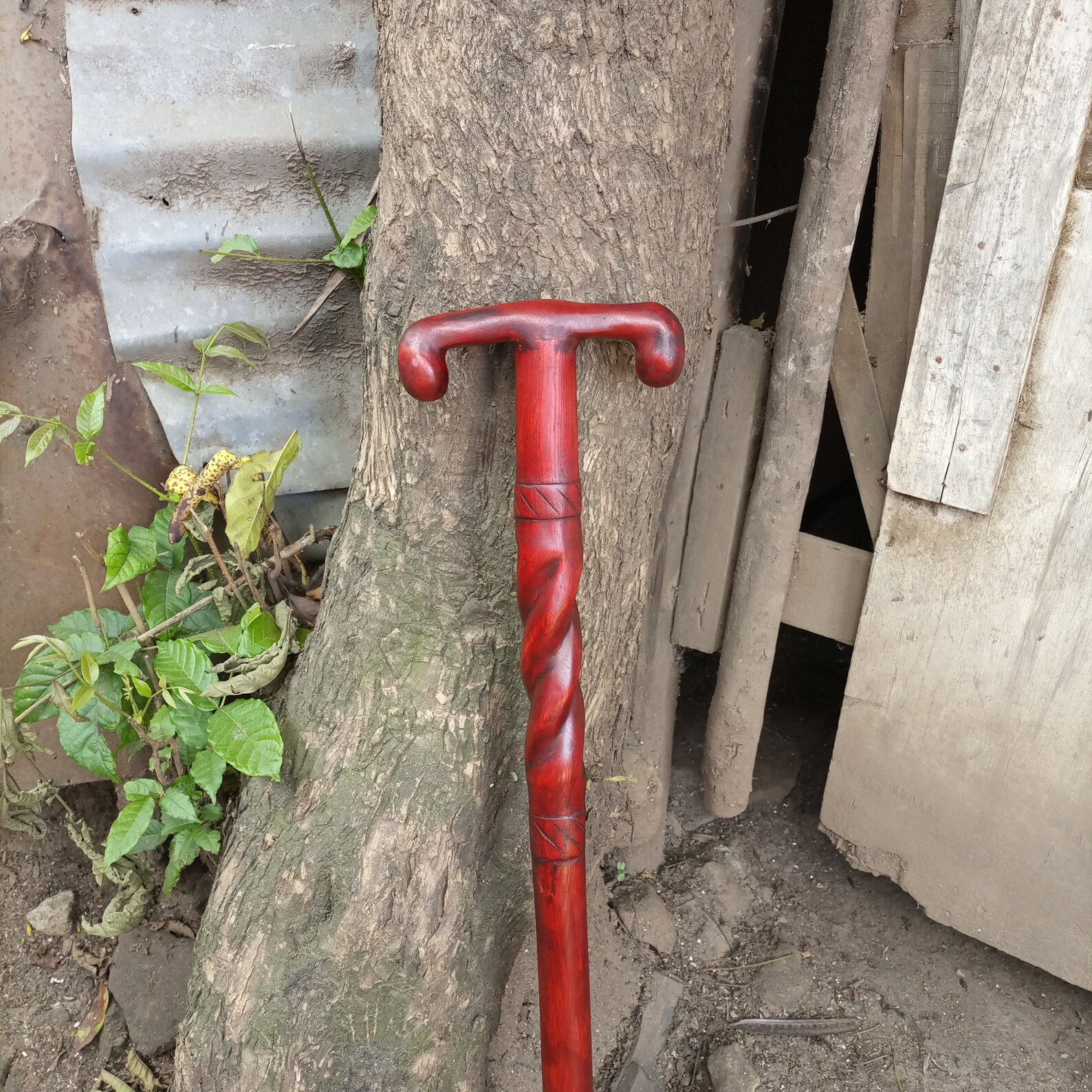Original twisted T Handle African Natural Rosewood - Etsy