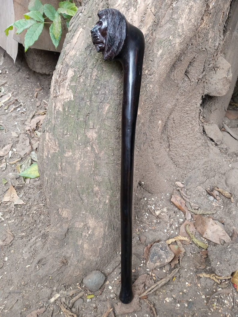 Original Lion Head Walking Stick Cat Head Art Cane Mom Dad - Etsy