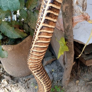 African Python Original Hiking Walking Stick Cane Handmade Kenya Africa ...