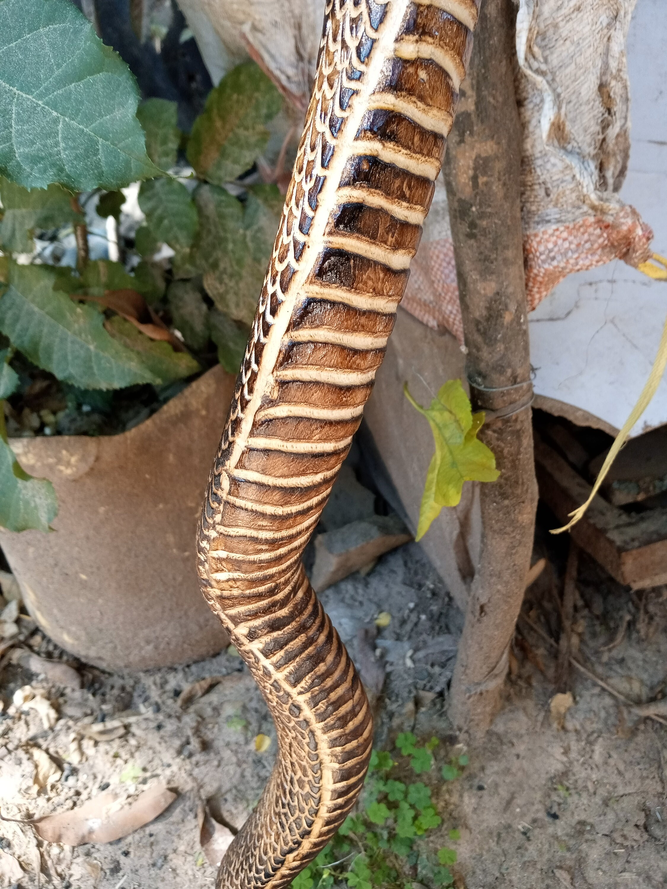 African Python Original Hiking Walking Stick Cane Handmade Kenya Africa ...