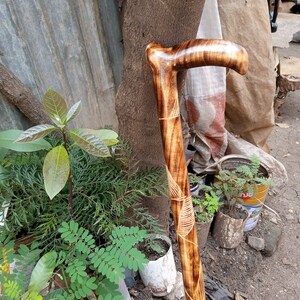 Original Jacaranda Blackwood Rosewood Hiking Walking Stick Cane ...