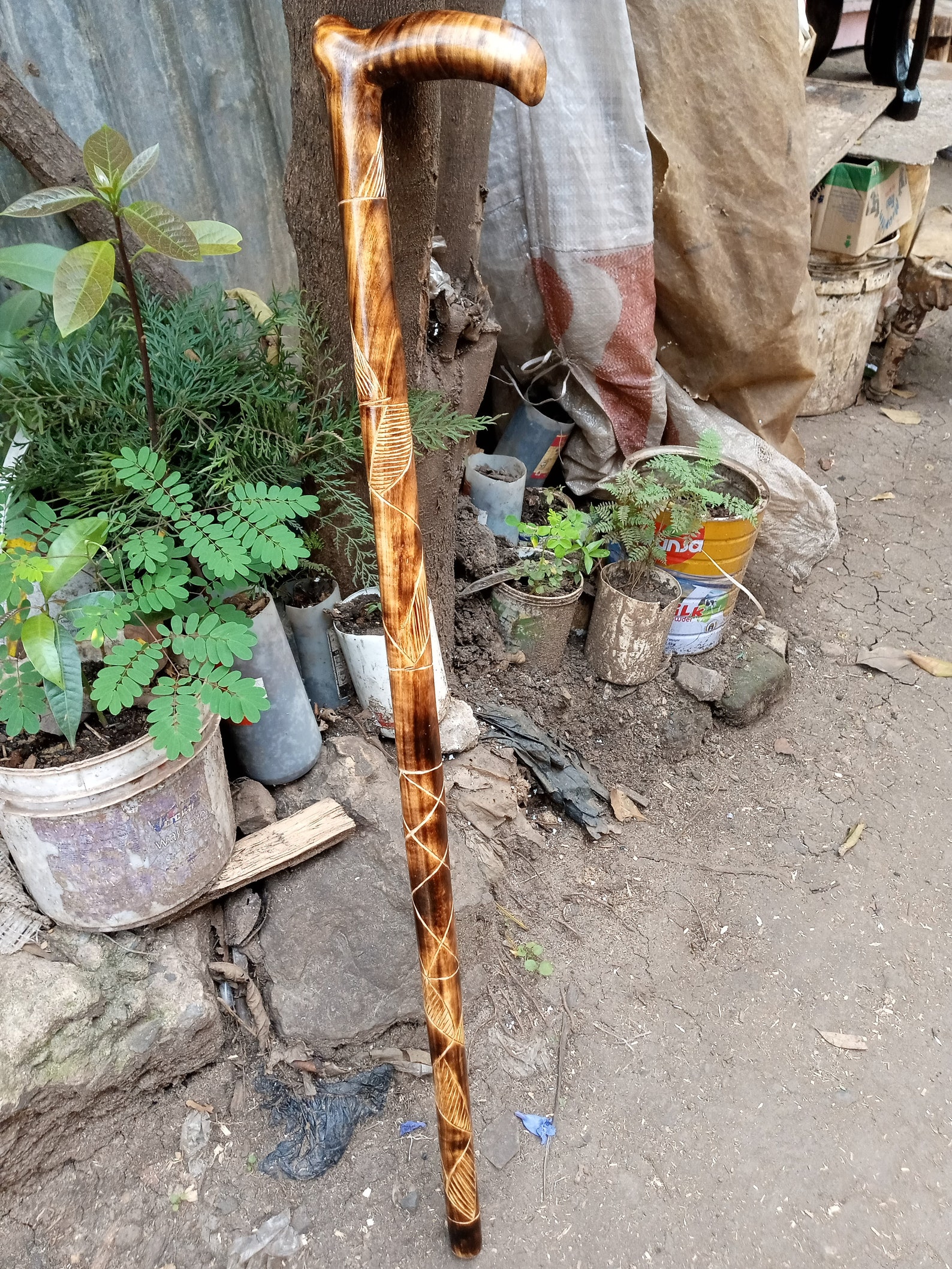 Original Jacaranda Blackwood Rosewood Hiking Walking Stick Cane ...