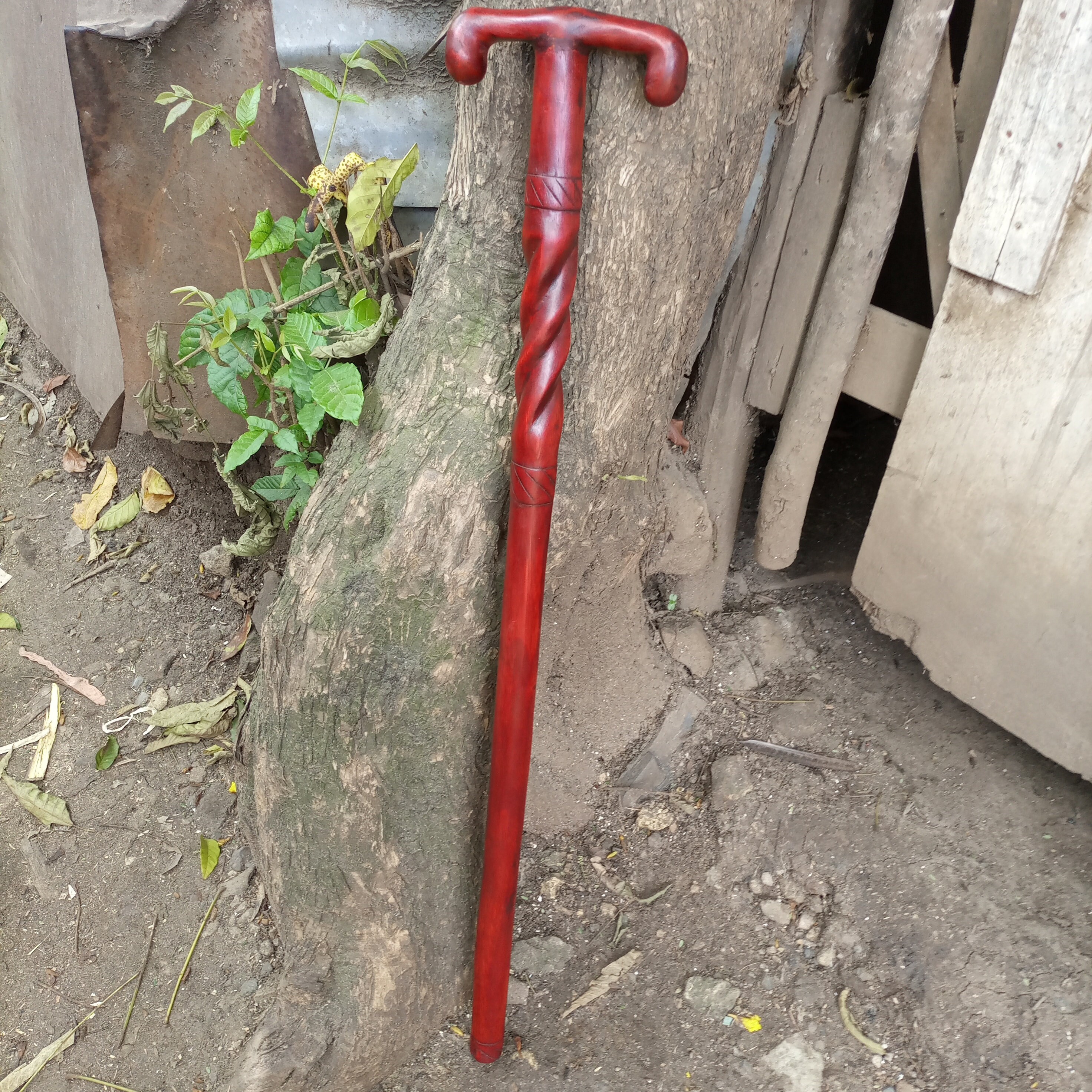 Original twisted T Handle African Natural Rosewood - Etsy