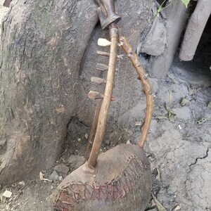 10-string Original Double Zeze Plucked Bowl Yoke Lute Cowhide Leather ...