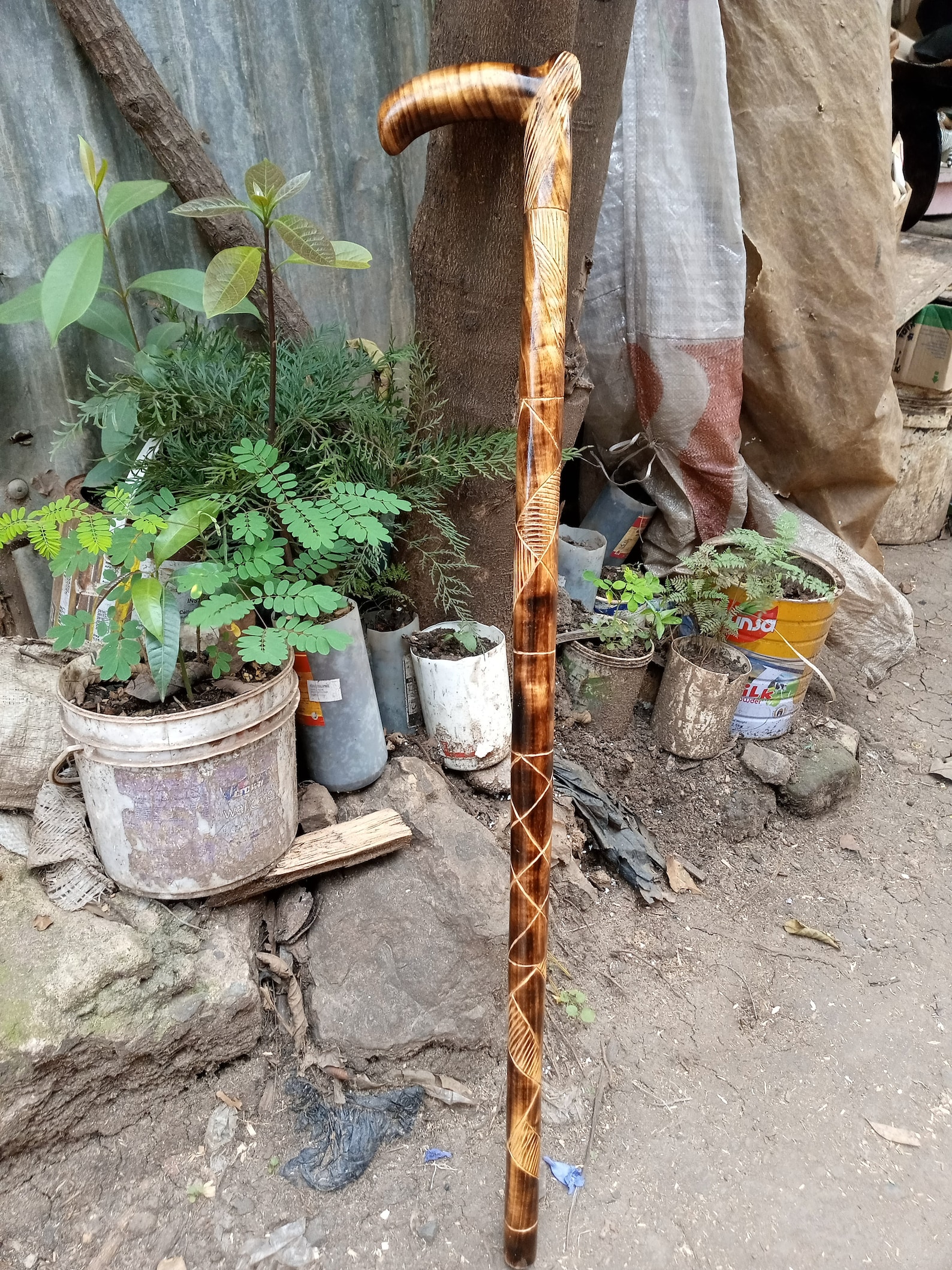 Original Jacaranda Blackwood Rosewood Hiking Walking Stick Cane ...