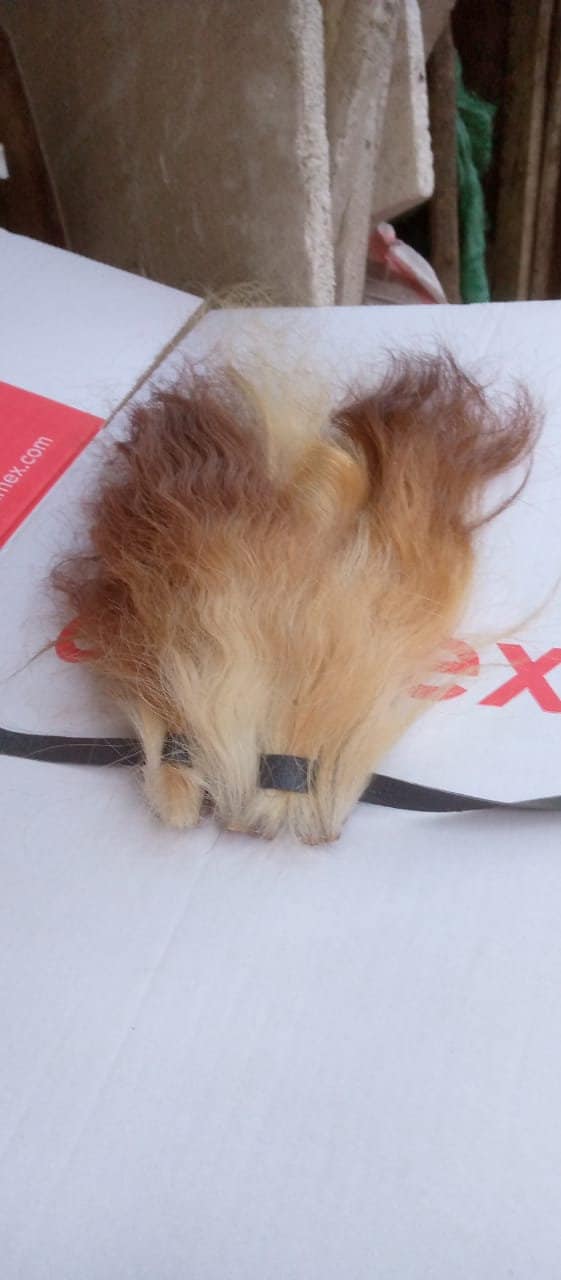 Original Set of 2 or 4 Shown Amashoba Functional Traditional Dance ...