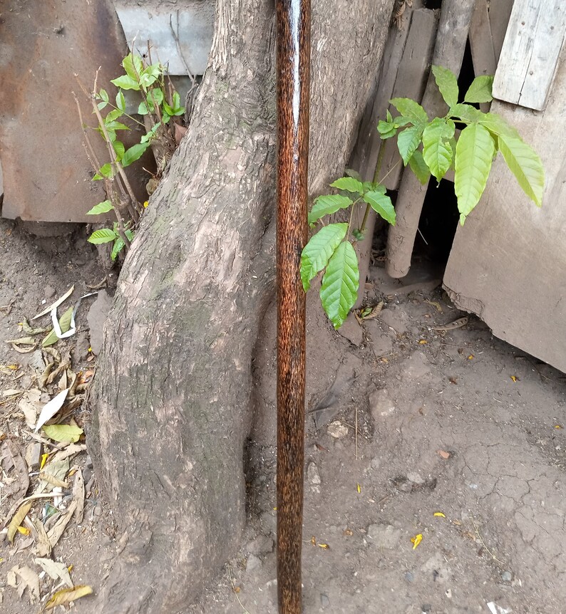 Original African Closed Hand Strength Unity Fist Walking Cane - Etsy