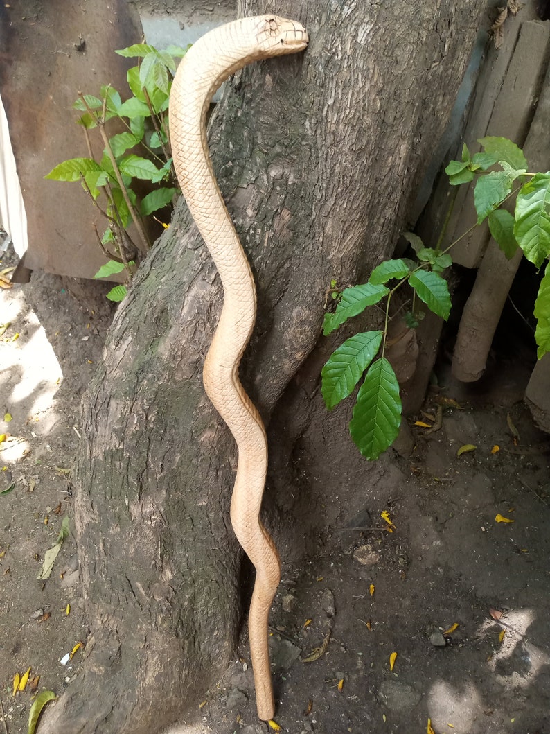 Blue Gum African Mamba Snake Original Hiking Walking Stick Cane ...