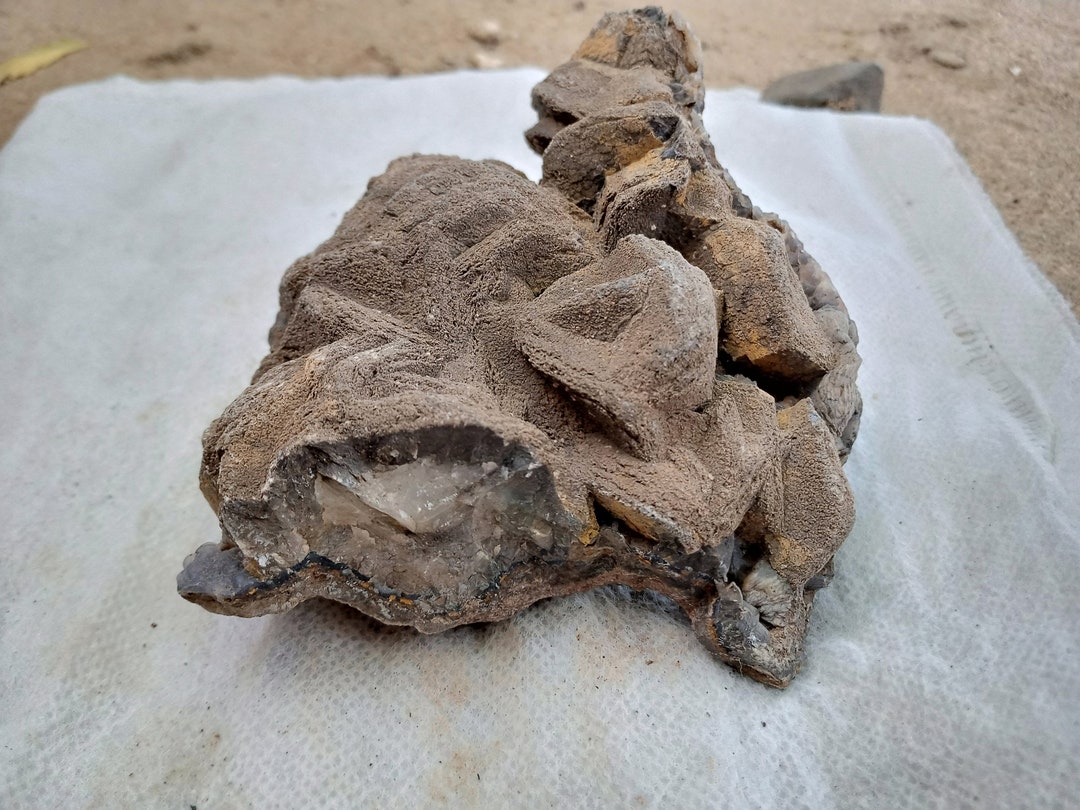 Desert Rose Gypsum Geode Rough Mineral Specimen With Grey Chalcedony ...