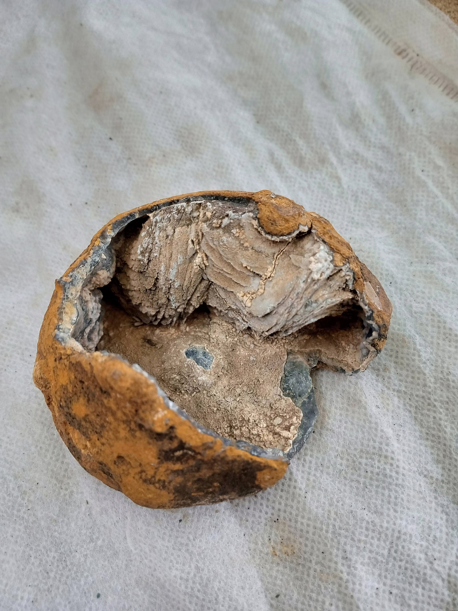 Desert Rose Gypsum Geode Rough Mineral Specimen With Blue - Etsy