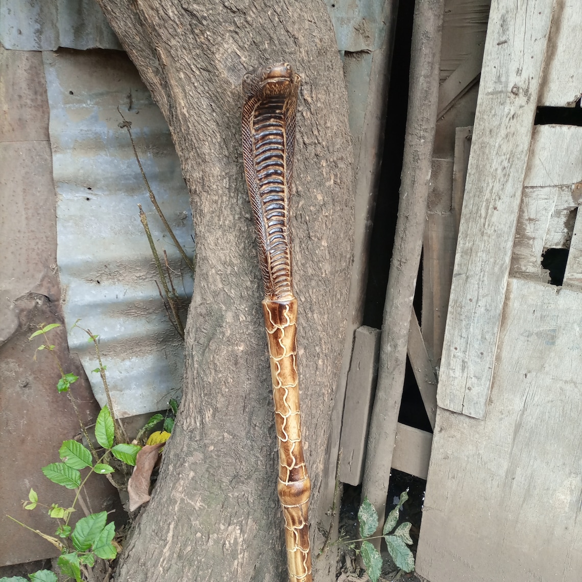 28-67IN Original African Kamba Tribe Cobra Snake Serpent 1PC - Etsy