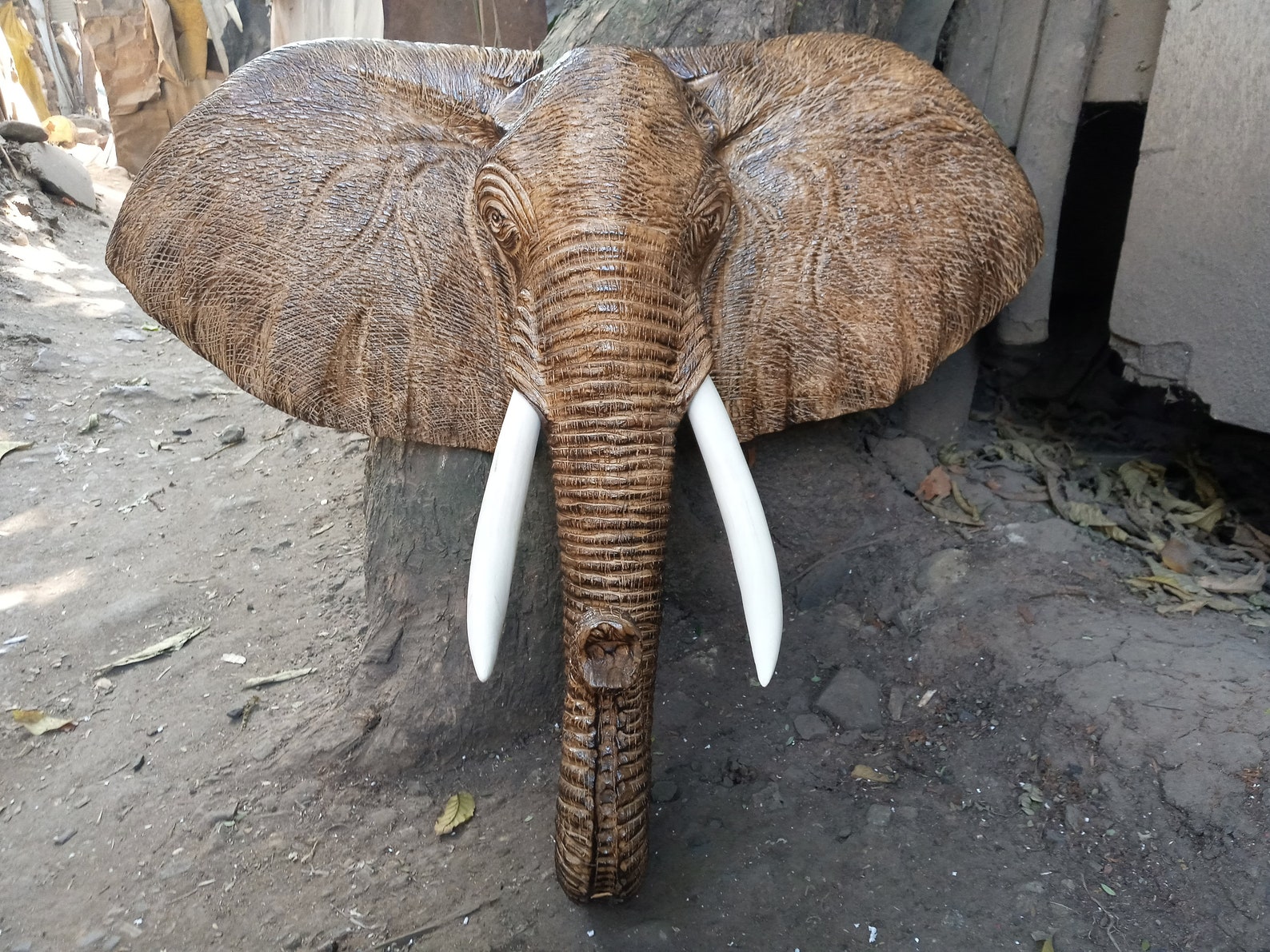 Original Olivewood Female Elephant Head Handmade 1PC Solid Hardwood ...