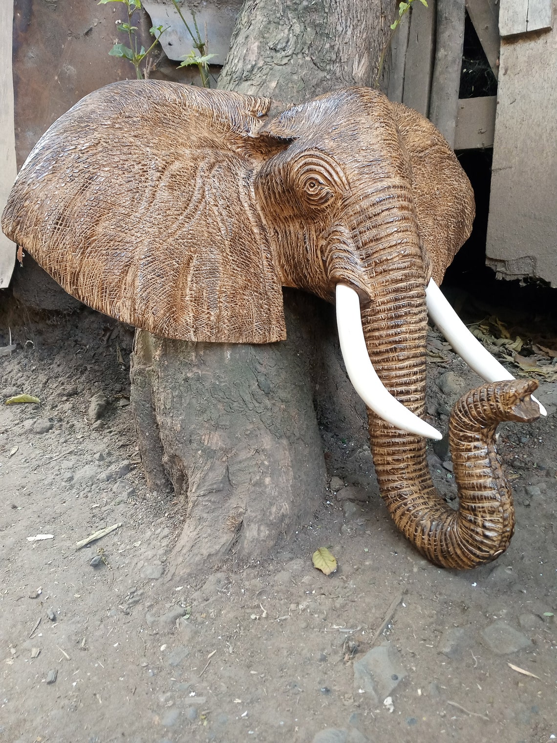 Original Olivewood Female Elephant Head Handmade 1PC Solid Hardwood ...