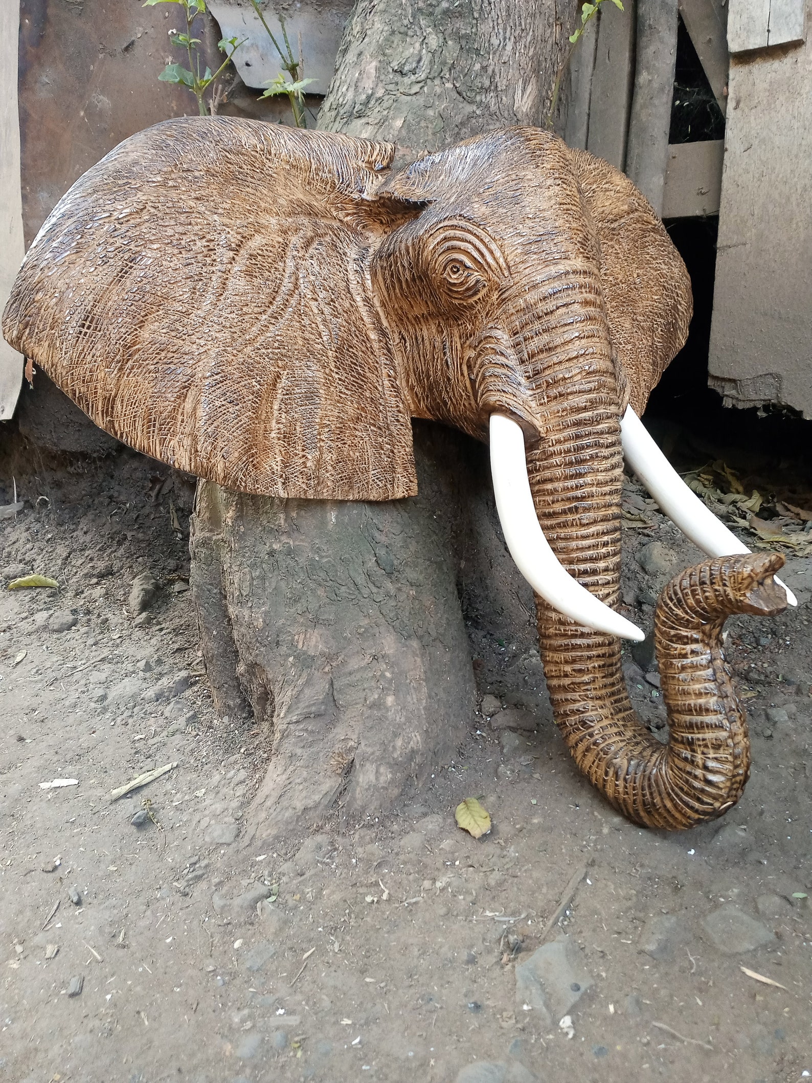 Original Olivewood Female Elephant Head Handmade 1PC Solid Hardwood ...