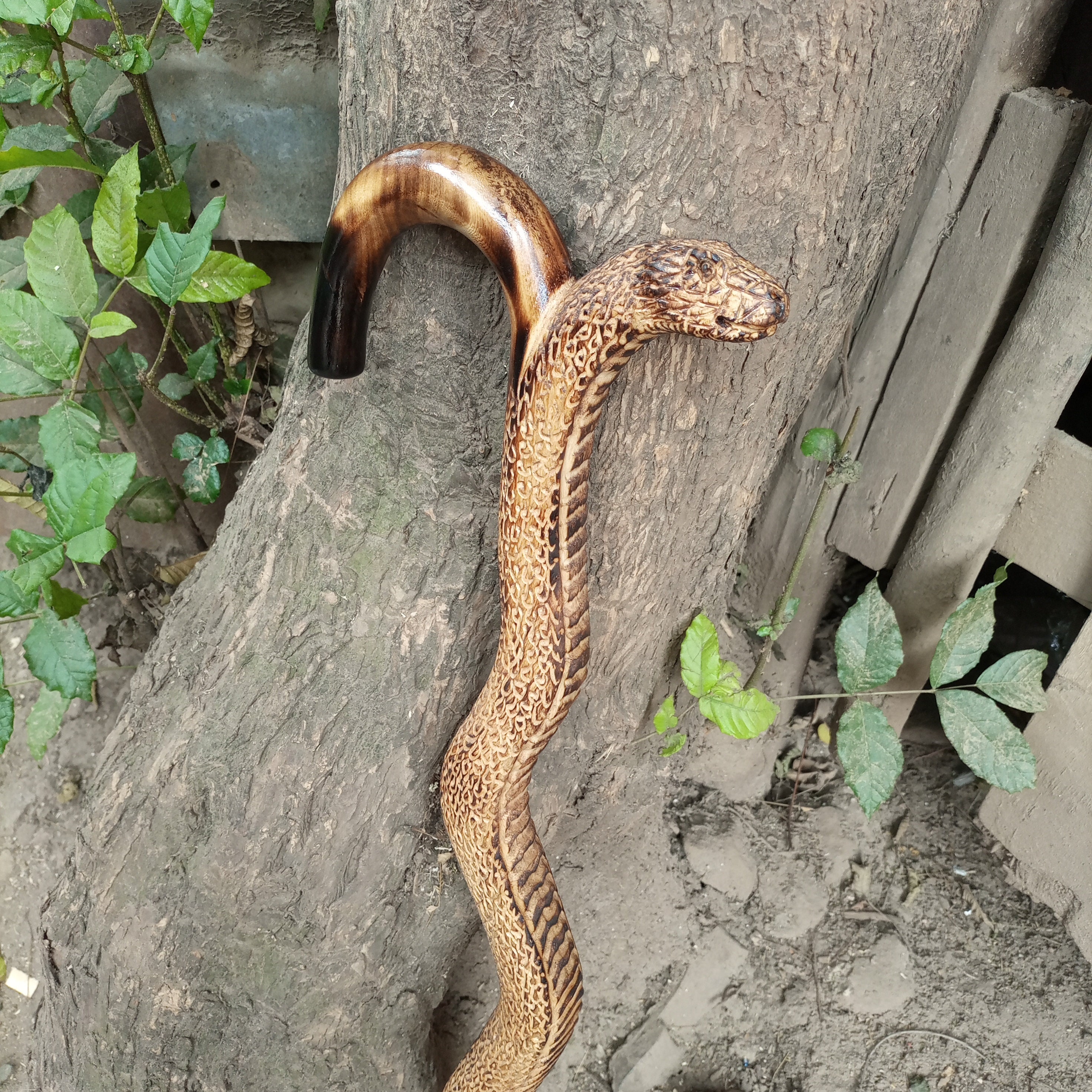 African Python Hook Handle Style Original Hiking Walking Stick Cane ...