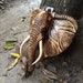 Elephant Mask Kenya Africa Olivewood Carving Kamba Tribal - Etsy