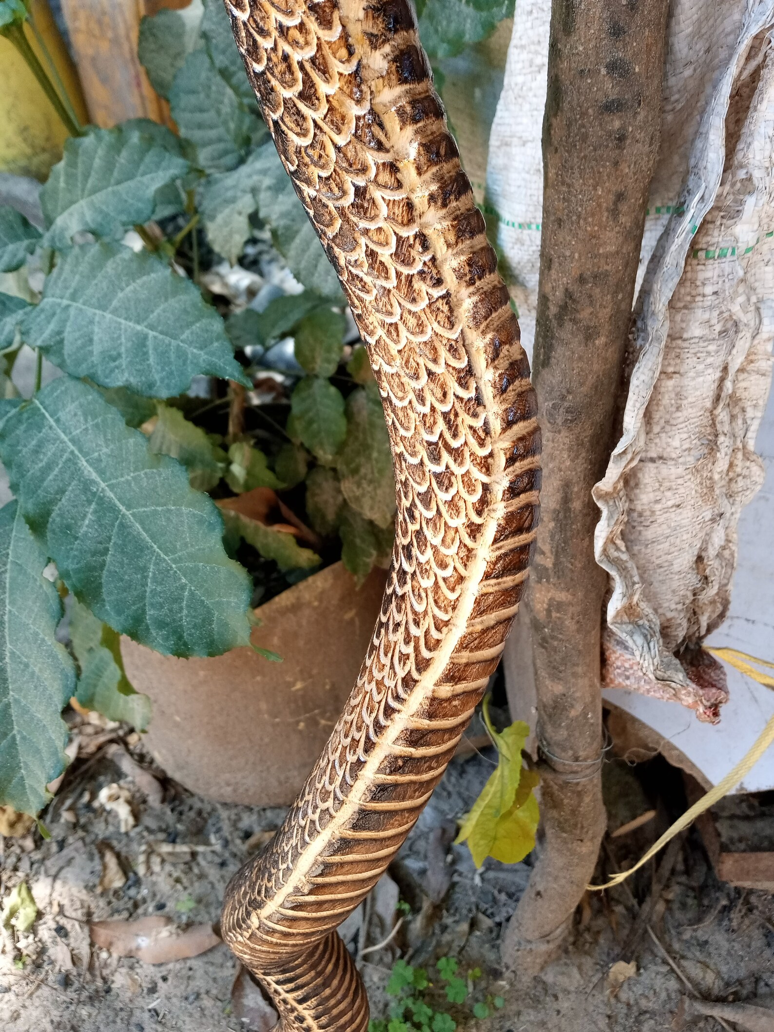 African Python Original Hiking Walking Stick Cane Handmade Kenya Africa ...