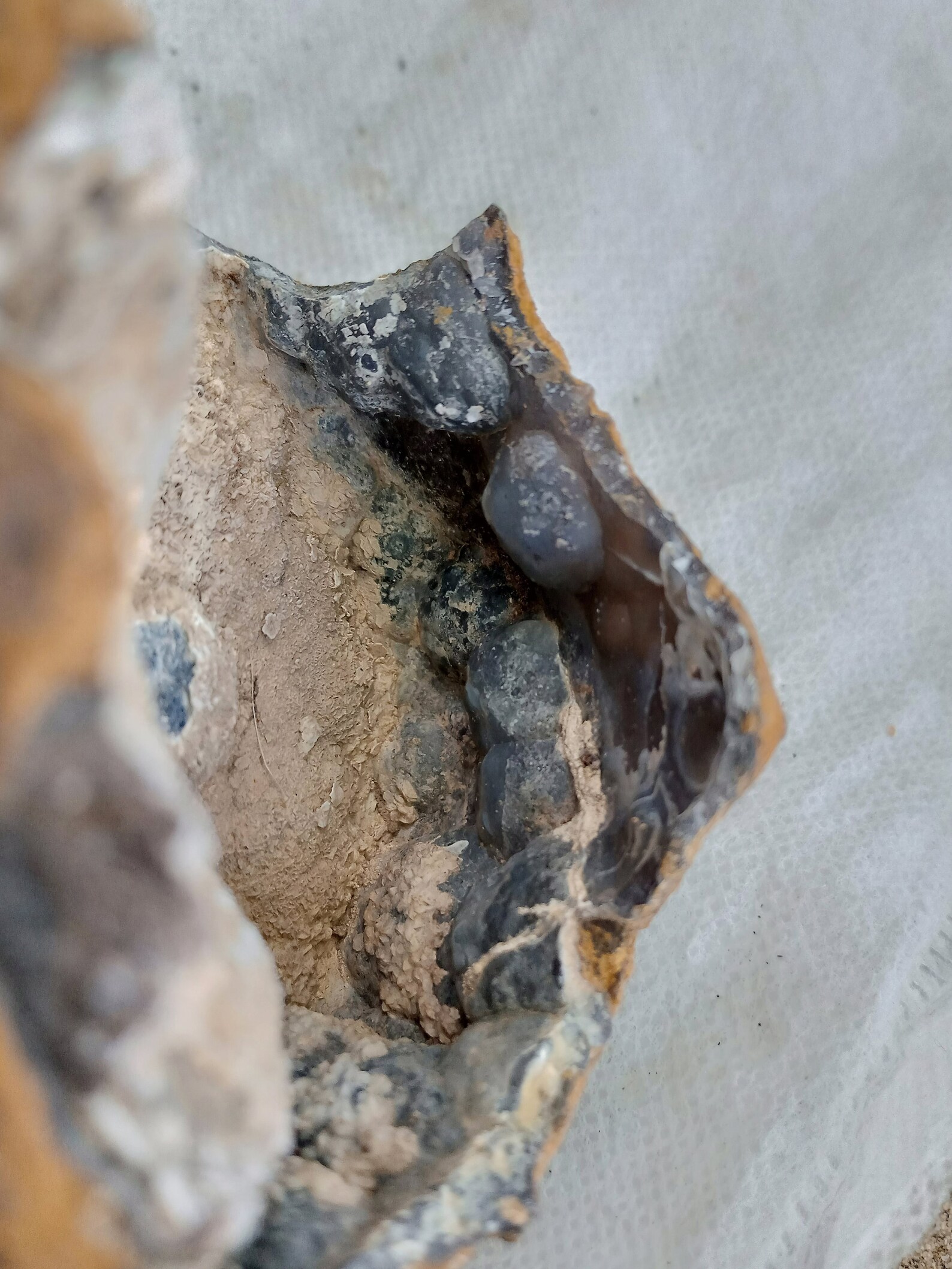 Desert Rose Gypsum Geode Rough Mineral Specimen With Blue - Etsy