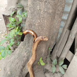 African Python Hook Handle Style Original Hiking Walking Stick Cane ...