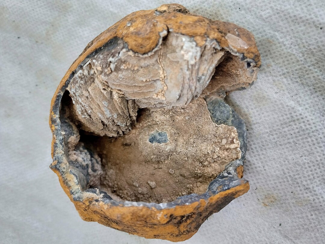 Desert Rose Gypsum Geode Rough Mineral Specimen With Blue Chalcedony ...