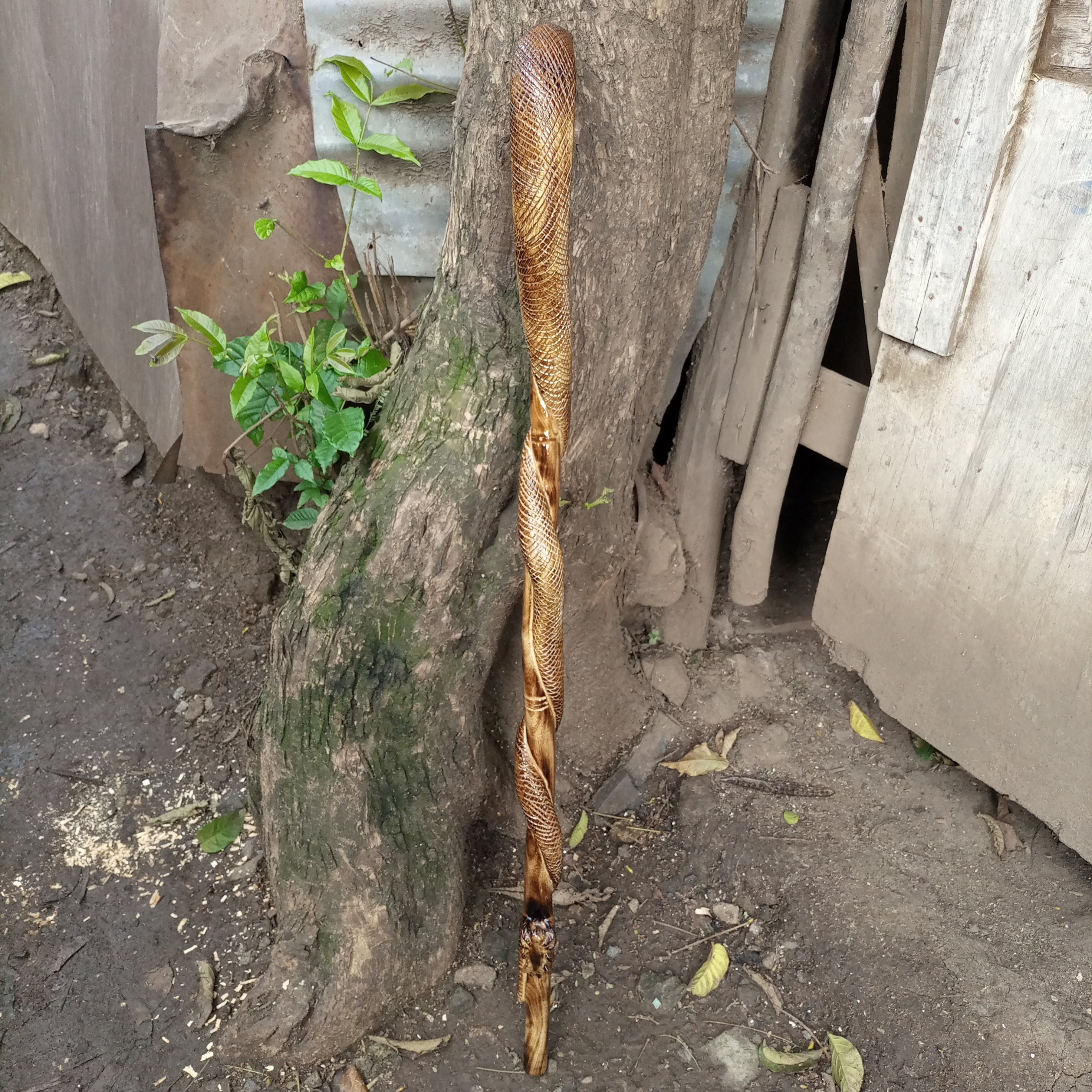 African Cobra Mice Spider Hiking Walking Stick Cane Handmade | Etsy