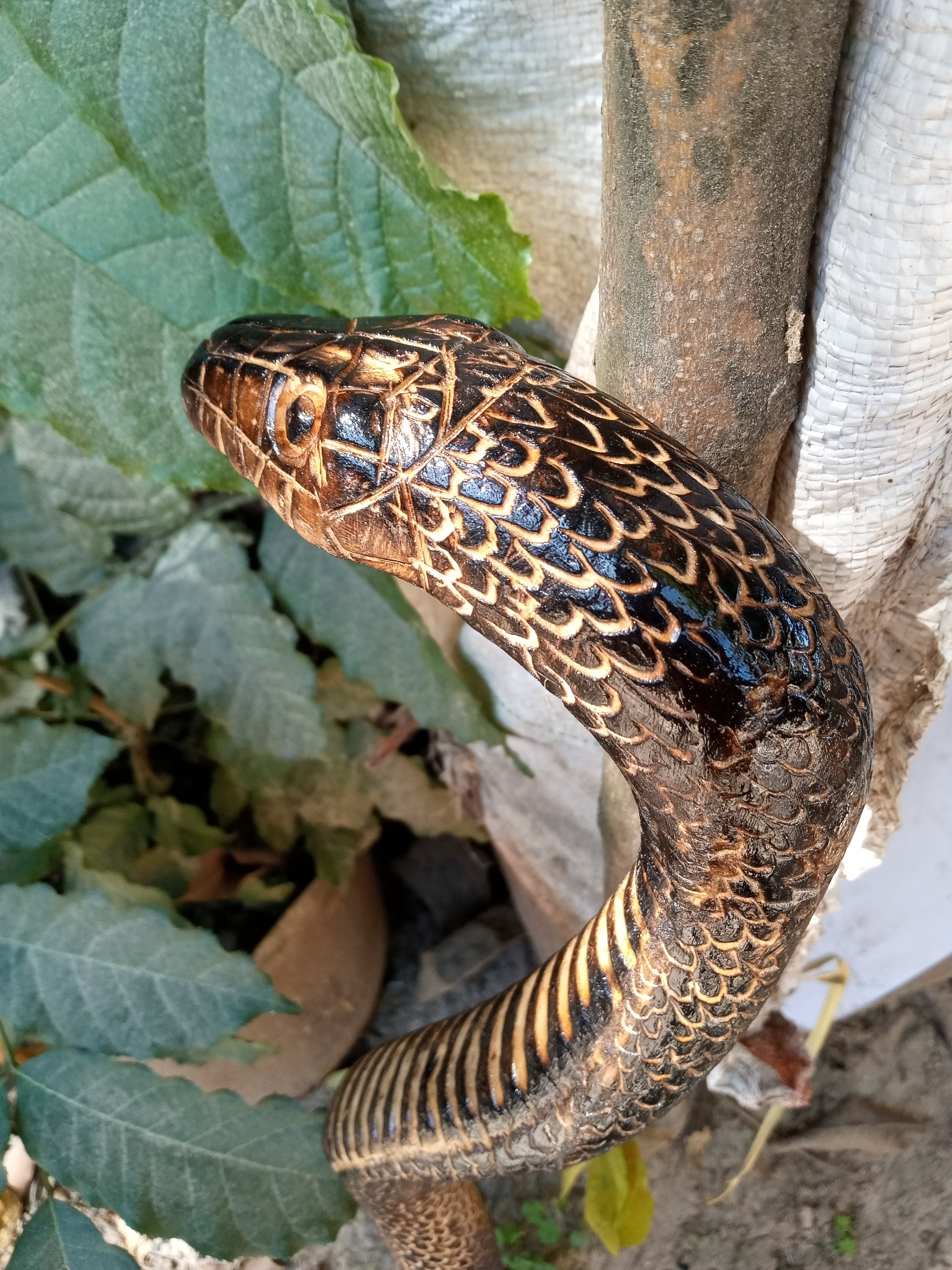 African Python Original Hiking Walking Stick Cane Handmade | Etsy