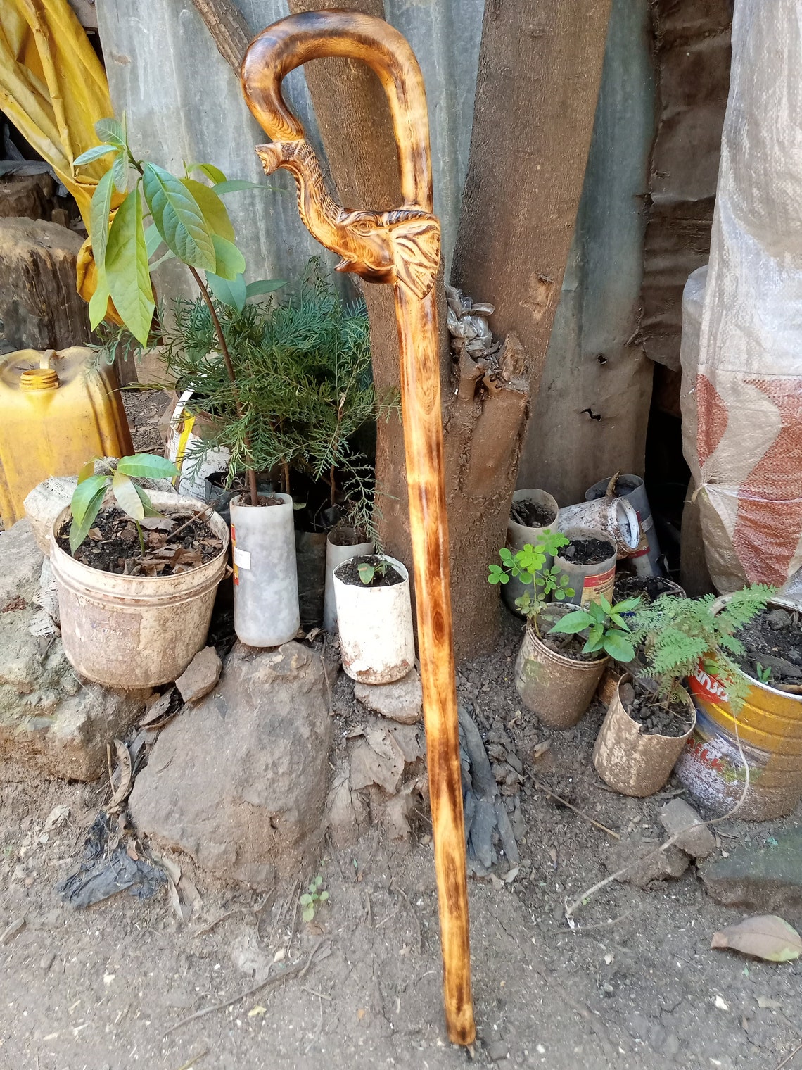 Original African Elephant Head Hiking Walking Stick Cane - Etsy