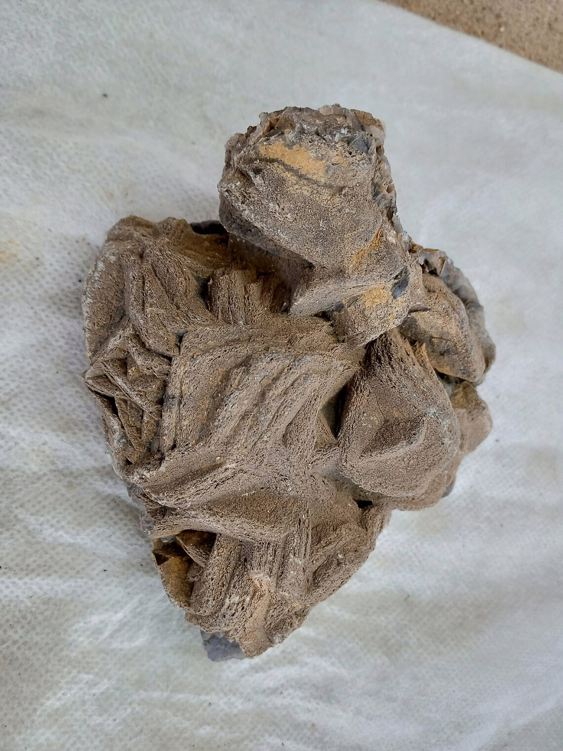 Desert Rose Gypsum Geode Rough Mineral Specimen With Grey Chalcedony ...