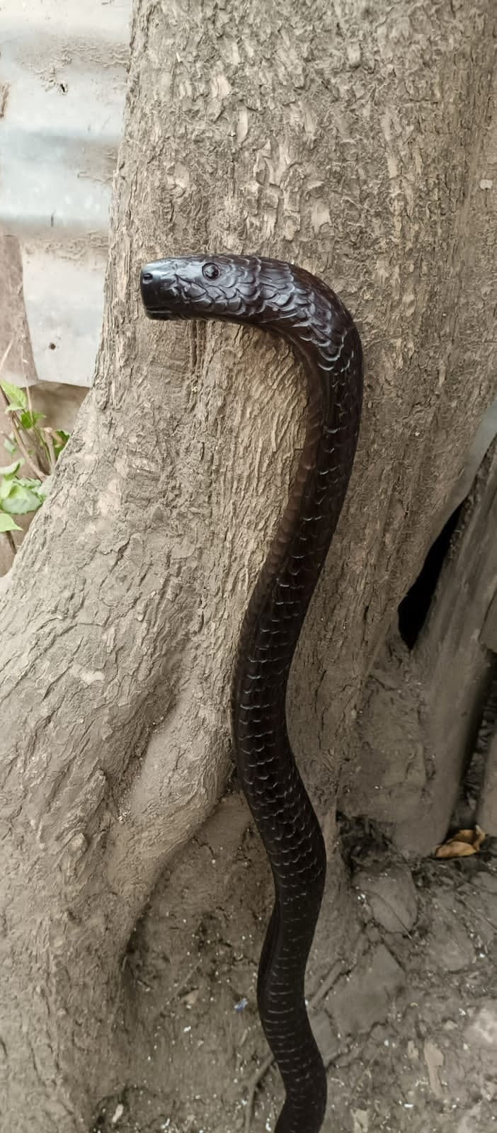 Moroccan Style Serpent Snake Original Hiking Walking Stick - Etsy