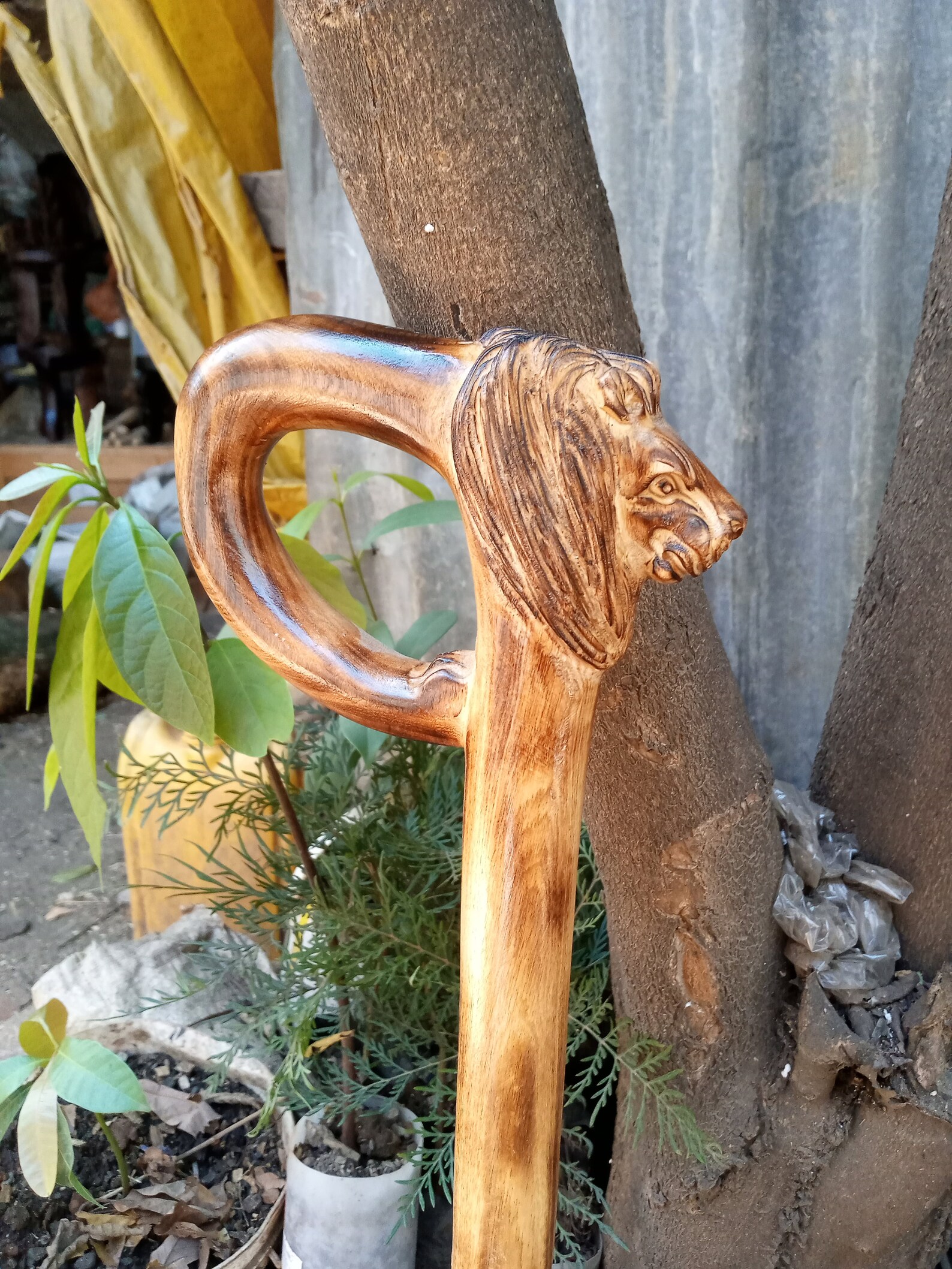 Original African Lion Walking Hiking Stick Cane Kenya Africa | Etsy