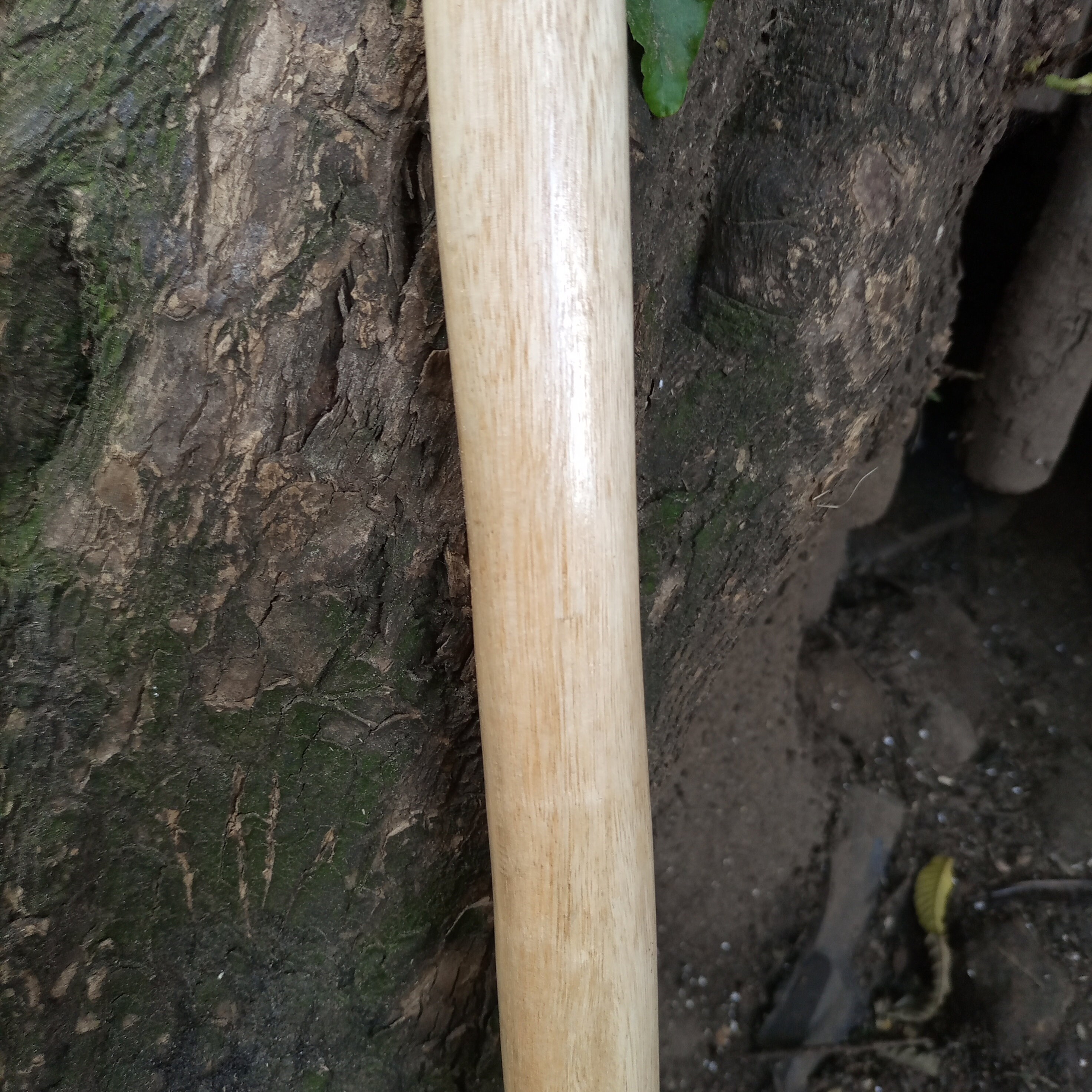 Original Lion Head Walking Stick Cat Head Art Cane Mom Dad | Etsy