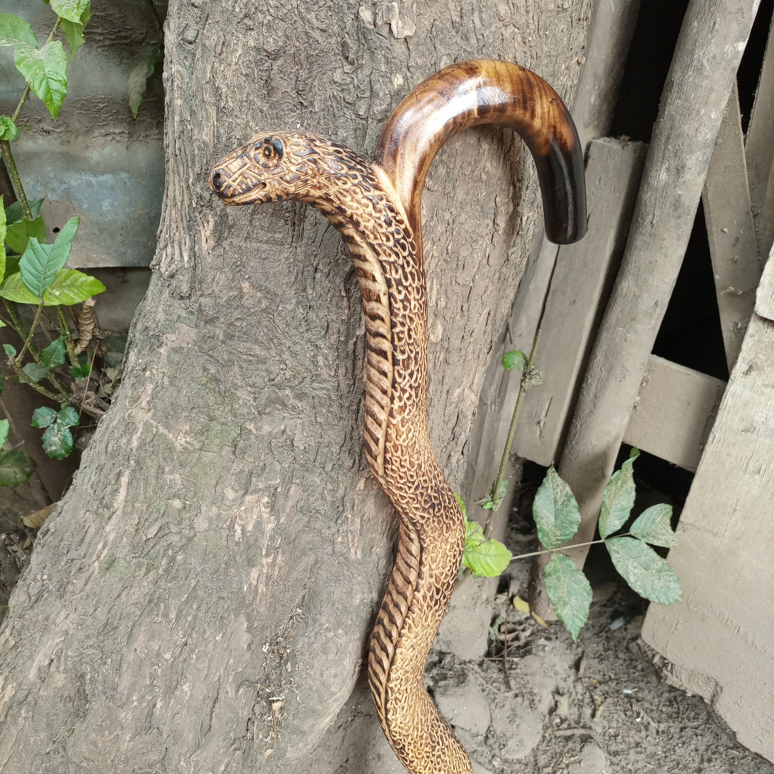 African Python Hook Handle Style Original Hiking Walking Stick - Etsy