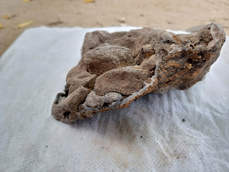 Desert Rose Gypsum Geode Rough Mineral Specimen With Grey Chalcedony ...
