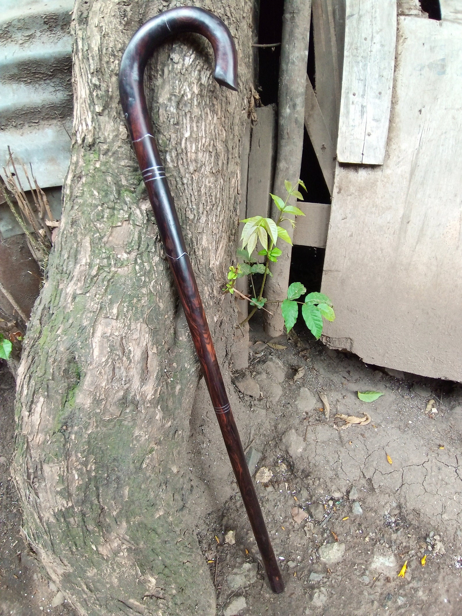 Original African Blackwood & Iron Art Walking Stick Cane Handmade ...