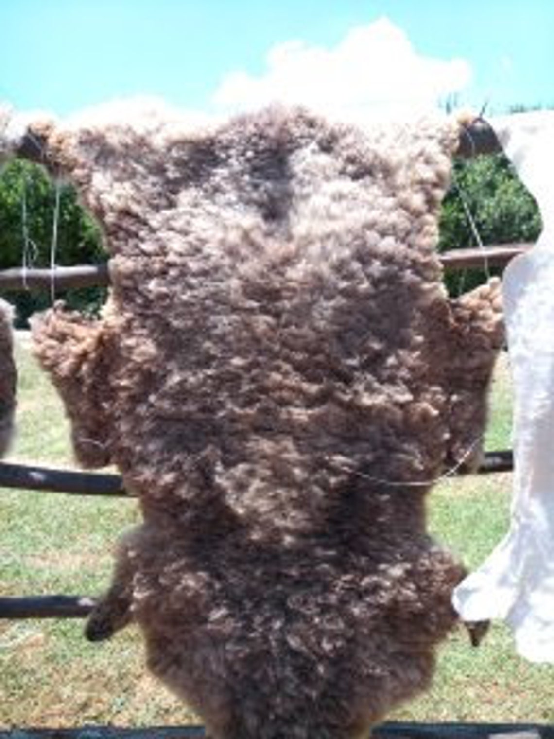 Natural Merino Sheep Skin Lamb Wool Rug Throw 1Piece Cleaned | Etsy