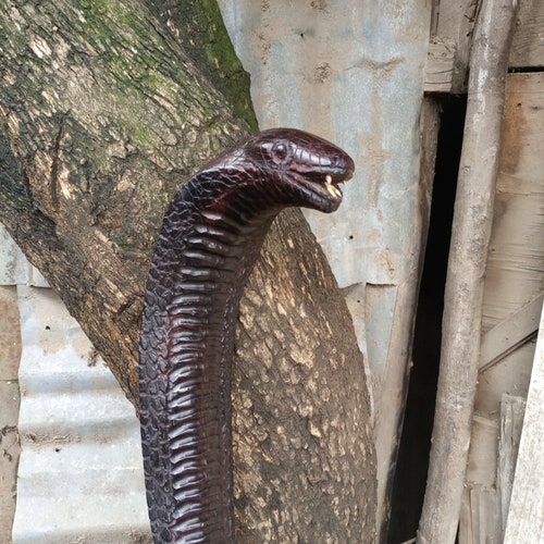 African Python Original Hiking Walking Stick Cane Handmade - Etsy