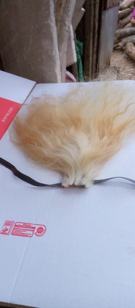 Original Set of 2 or 4 Shown Amashoba Functional Traditional Dance ...