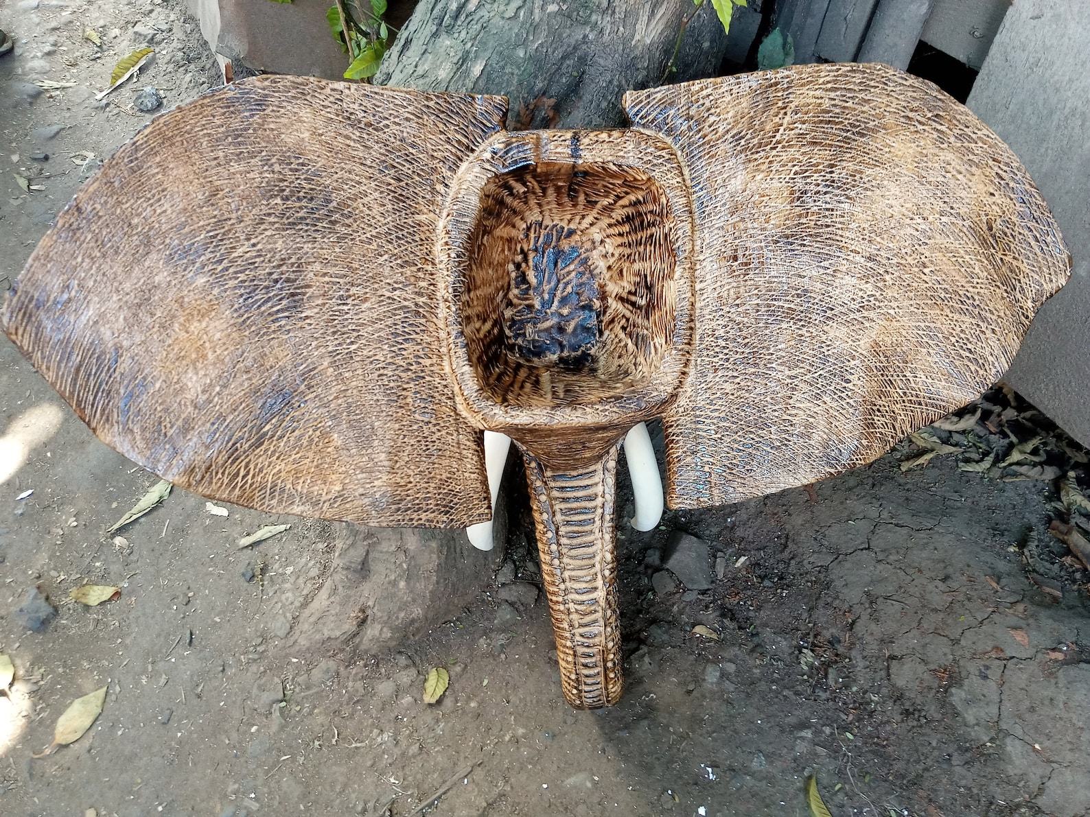 Original Olivewood Female Elephant Head Handmade 1PC Solid Hardwood ...