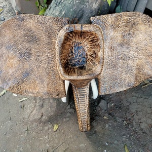 Original Olivewood Female Elephant Head Handmade 1PC Solid Hardwood ...