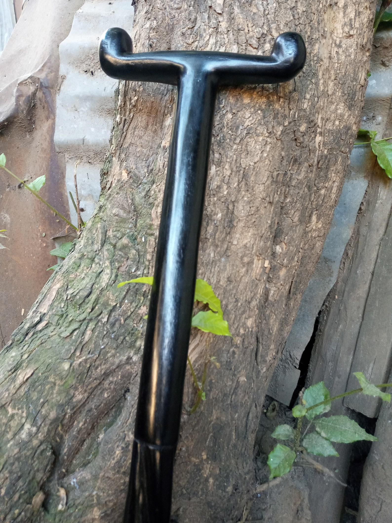 Original Classic New York Style Ironwood Hiking Walking Stick Cane ...