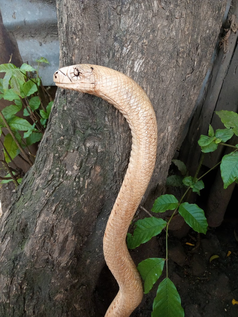 Blue Gum African Mamba Snake Original Hiking Walking Stick Cane ...