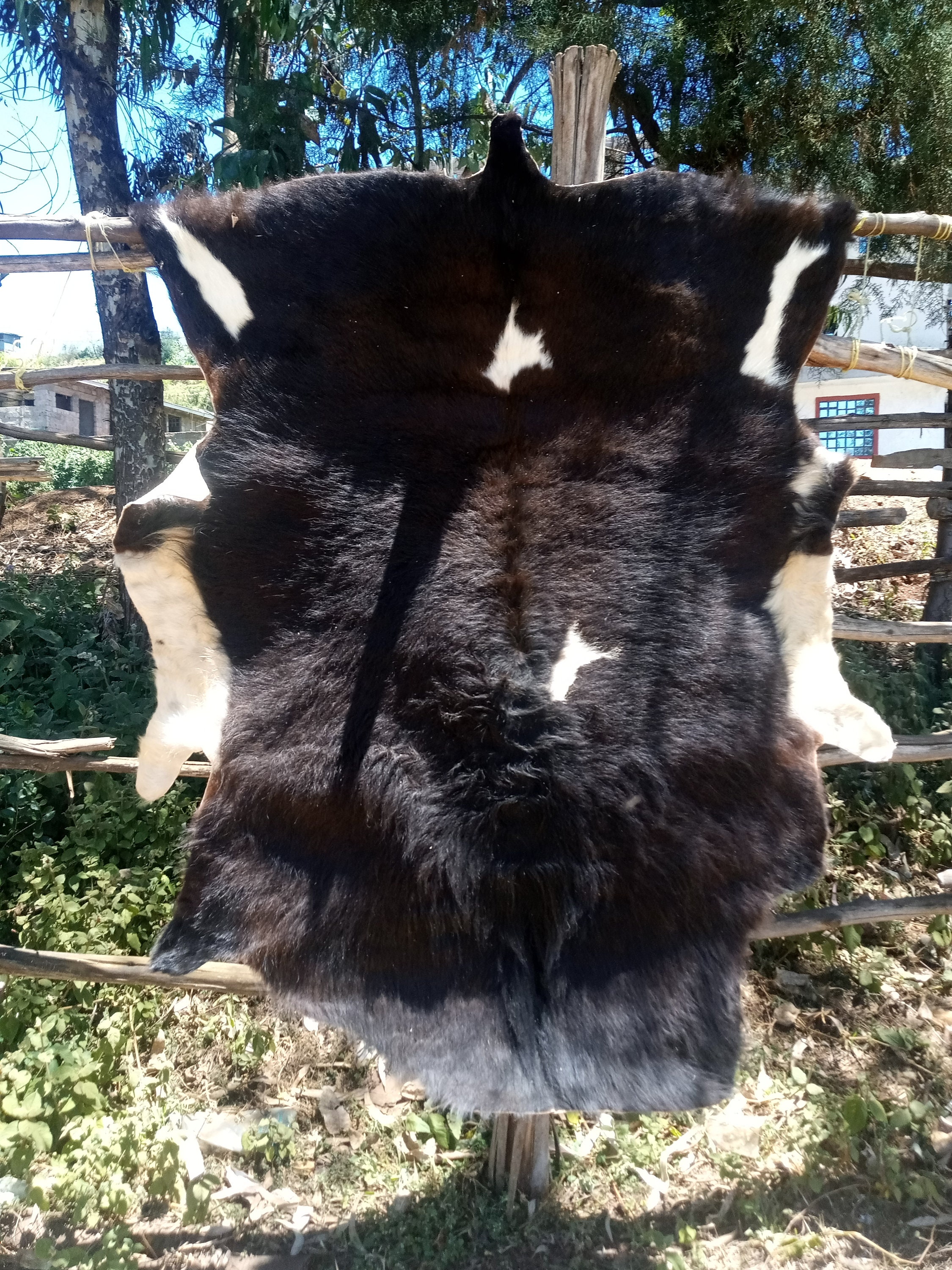 Natural Cowhide Rug Throw 1piece Cleaned Treated Semi-soft | Etsy