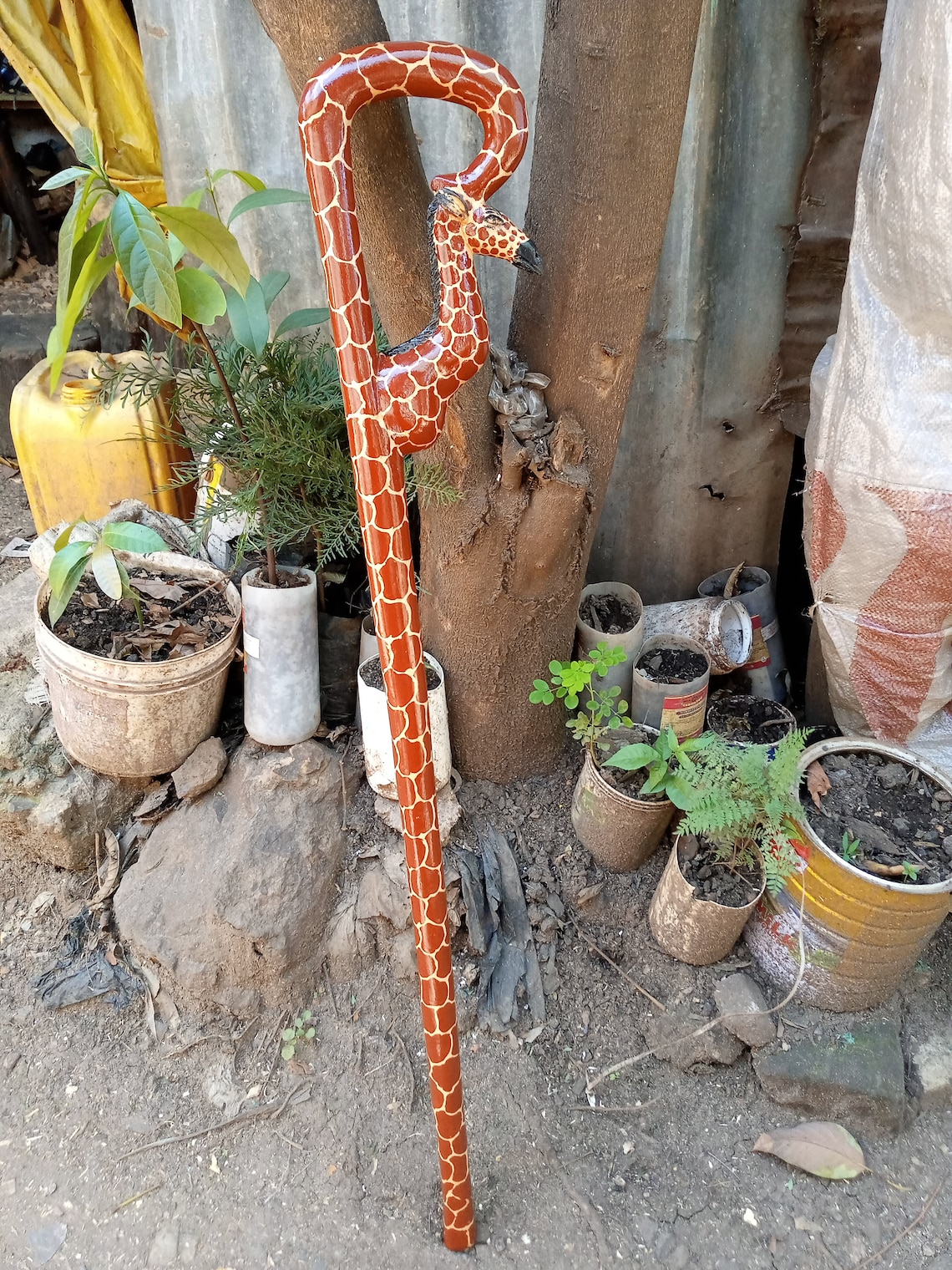 Original African Giraffe Hiking Walking Stick Cane Mobility - Etsy