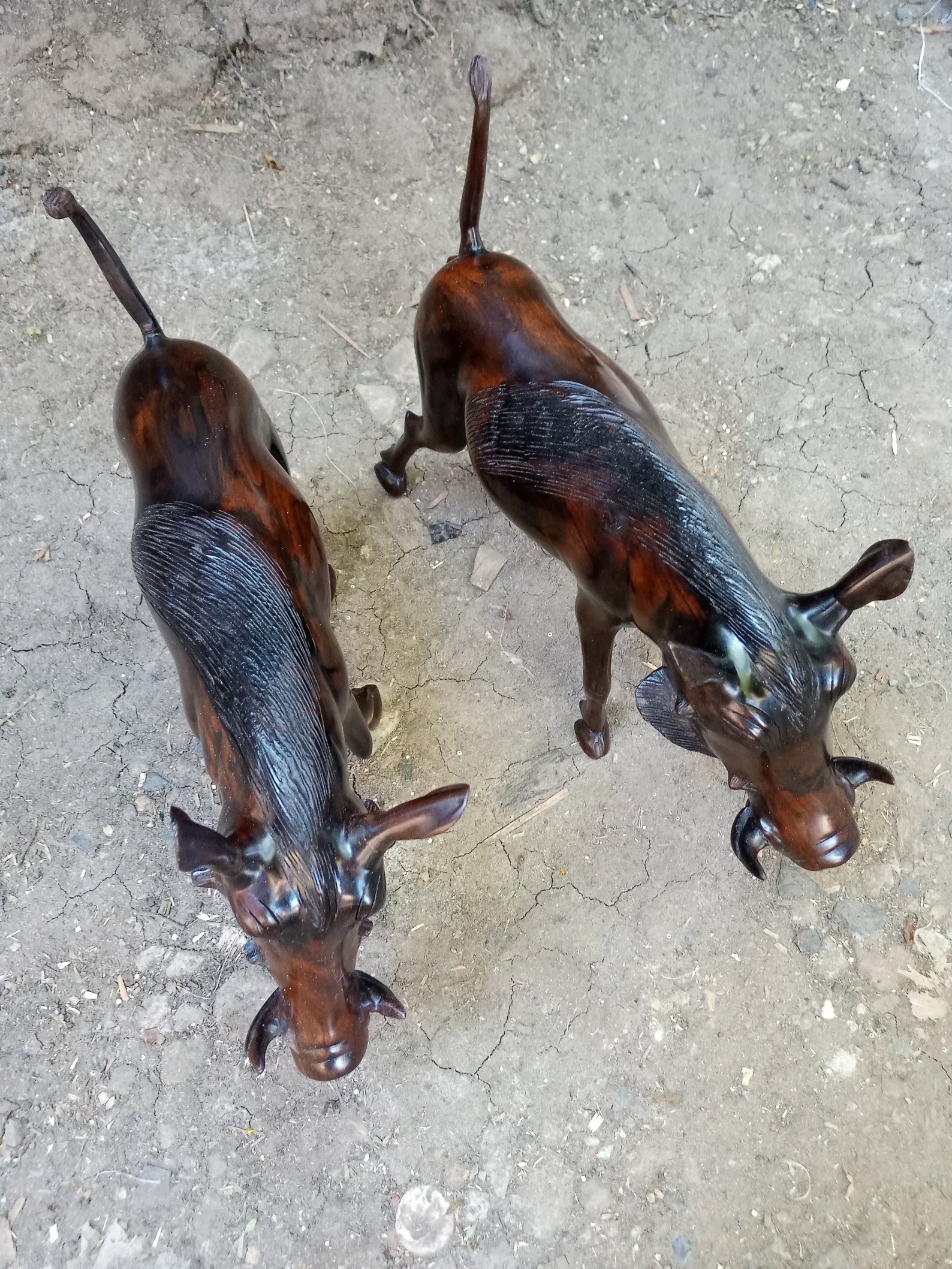 Warthog Carved Kamba Tribe Kenya Solid Ironwood/ Rosewood Animal Statue ...