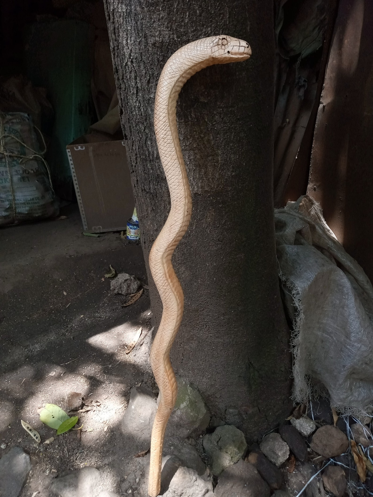 Blue Gum African Mamba Snake Original Hiking Walking Stick Cane ...